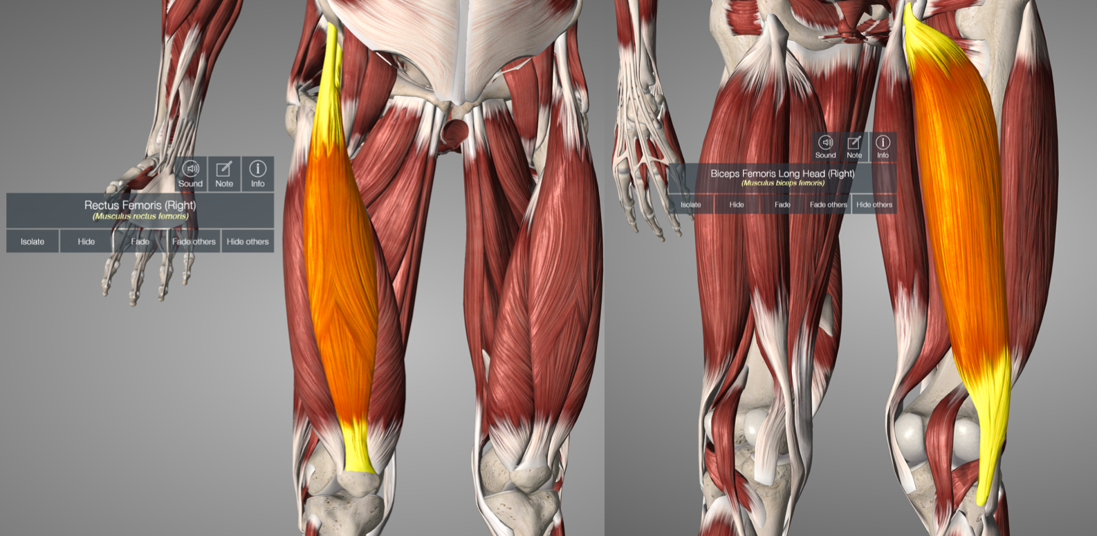 The Anatomy Of “Lead Leg Blocking.” It’s Corruptive And Has To Go ...